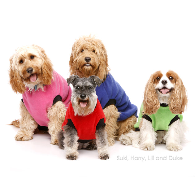 Dog Skivvies | YAP WEAR Pet Store Albert Park
